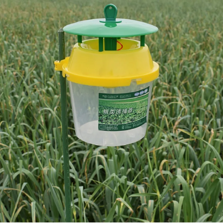 Tuta Absoluta Pheromone Moth Biological Insect Lure For Greenhouse ...