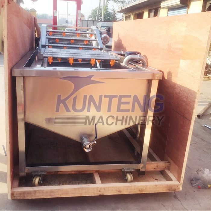 Industrial Air Bubble Immersion Fruit And Veggie Orange Pineapple ...