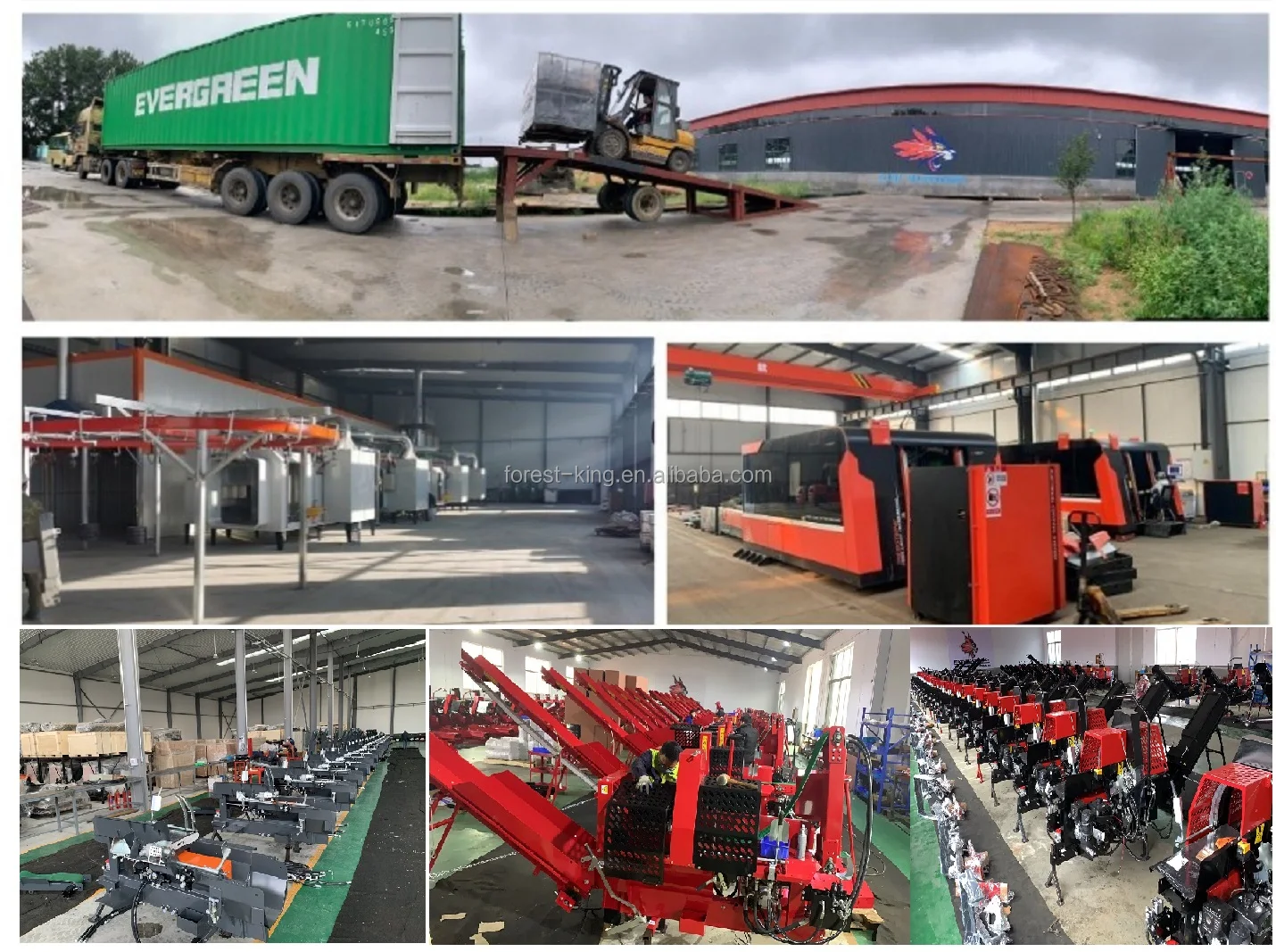 Rima Pto Driven Forestry Mulcher3 Forestry Machine Remote Agricultural ...