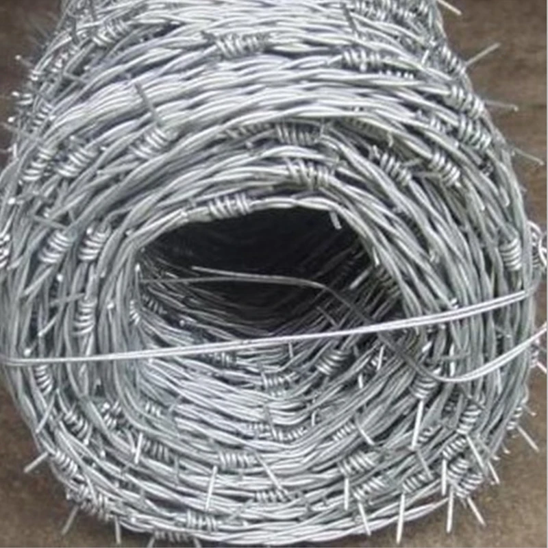 Barbed Wire Spikes on the Fence - Security Barrier Solutions