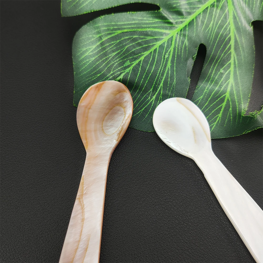 Natural Deep Sea Shell Spoon Tableware Home And Seasoning Box Spoon ...