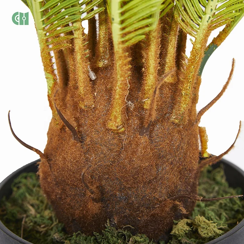 72cm Plastic Cycas with Pot - Lifelike Ornamental Plant