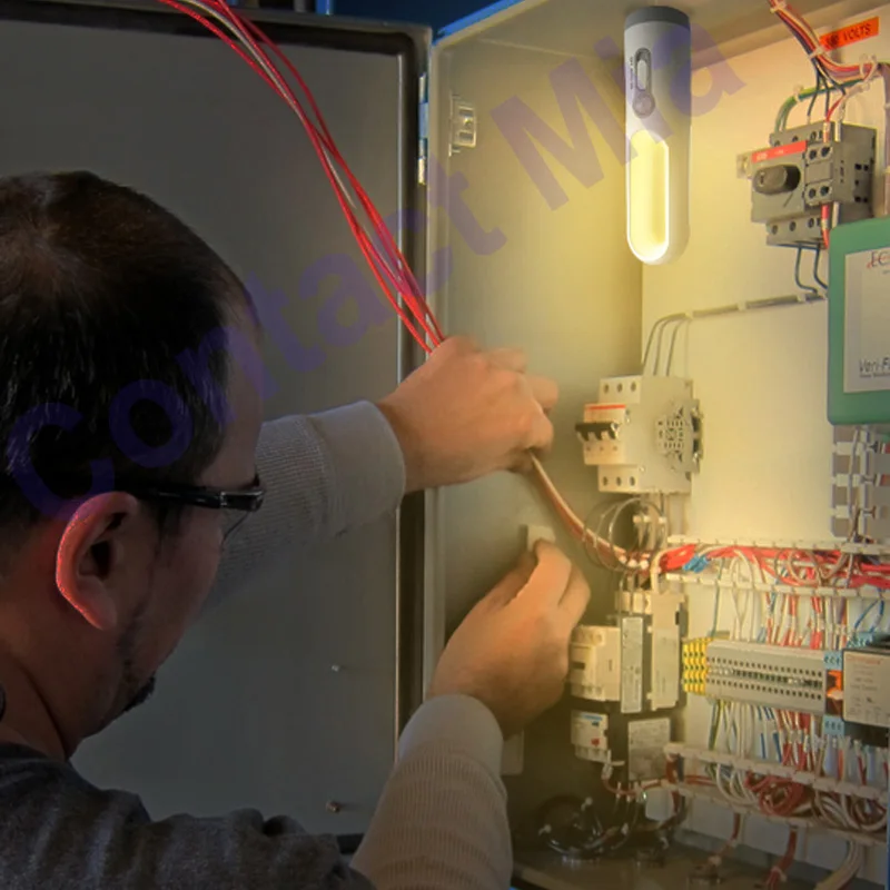 NEW 2 In1 Emergency Sensor Light with Torch Light PIR