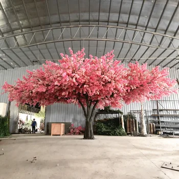 New Products Large Flower Tree 3.3m High And 10m Wide Full Japanese ...