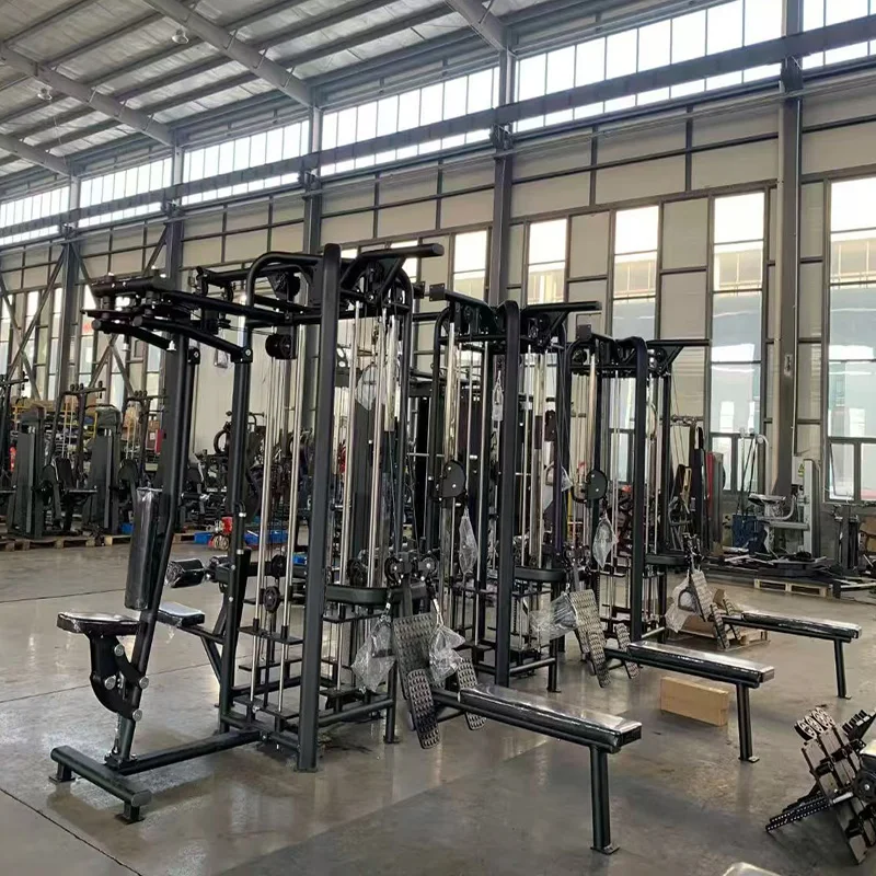 Flying Bird Gym Equipment Fitness Wall-mounted Multifunctional Trainer ...