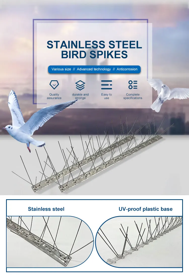 Stainless Steel 304 Pigeon Spikes Outdoor And Home Anti Pigeon Trap ...