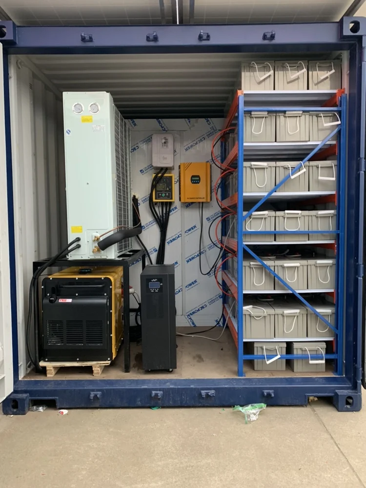 40FT Cold Storage with 20ft Solar Container - Efficient Cooling