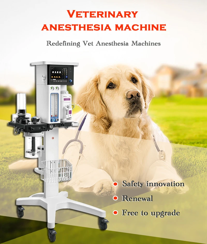 Mindray Veta 3 & Veta 5 Anesthesia Machines for Veterinary Use