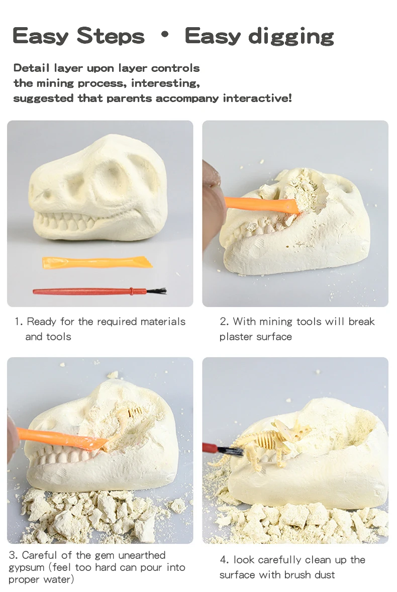 Promotion Plaster Dino Skull Model Dinosaur Skeleton Fossils Digging ...