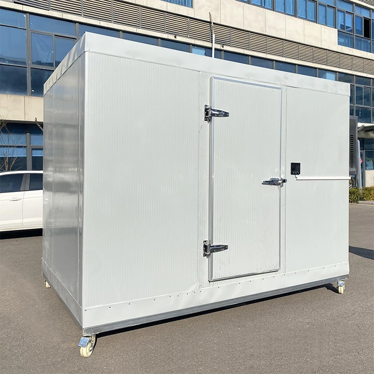 Mini Energy Saving Freezer Refrigerator Cold Room Storage For Ice ...