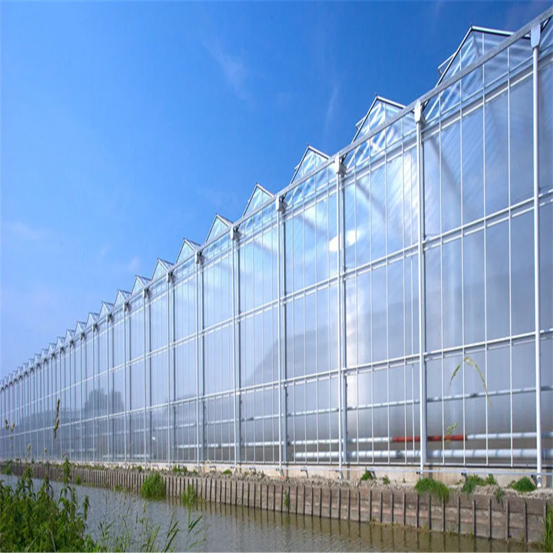 Invernadero Agricultural Polycarbonate Pc Sheets Tropical Smart Plastic ...