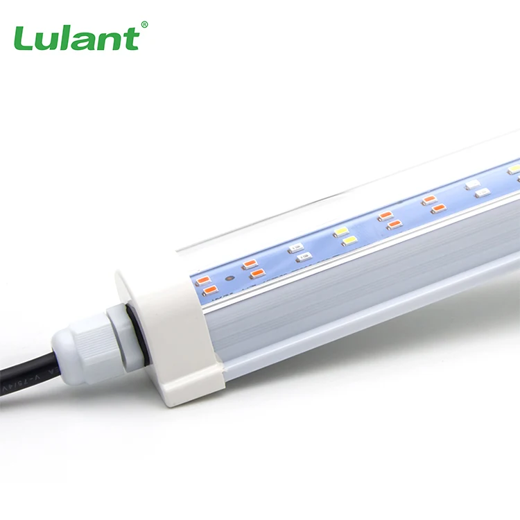 Custom Spectrum Agricultural Farm Greenhouse Led Plant Grow Light ...