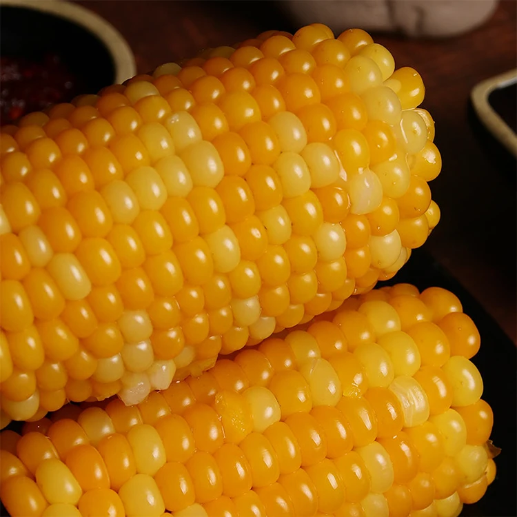 Yellow Maize In Brine Preservation Process Sweet Flavored Vacuum ...