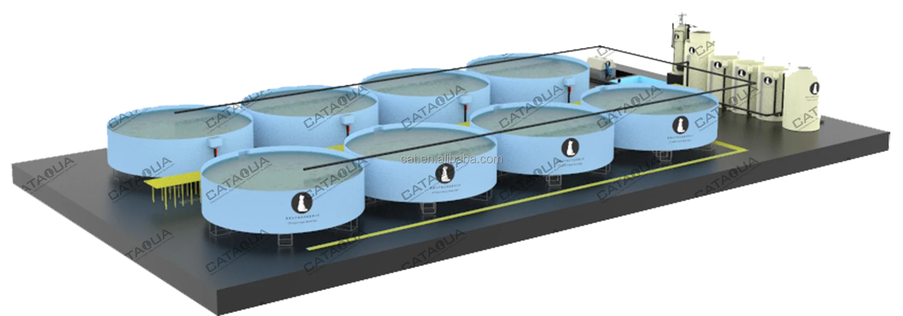 CATAQUA Ras Tilapia Fish Farming Equipment - Biofloc Tank Design