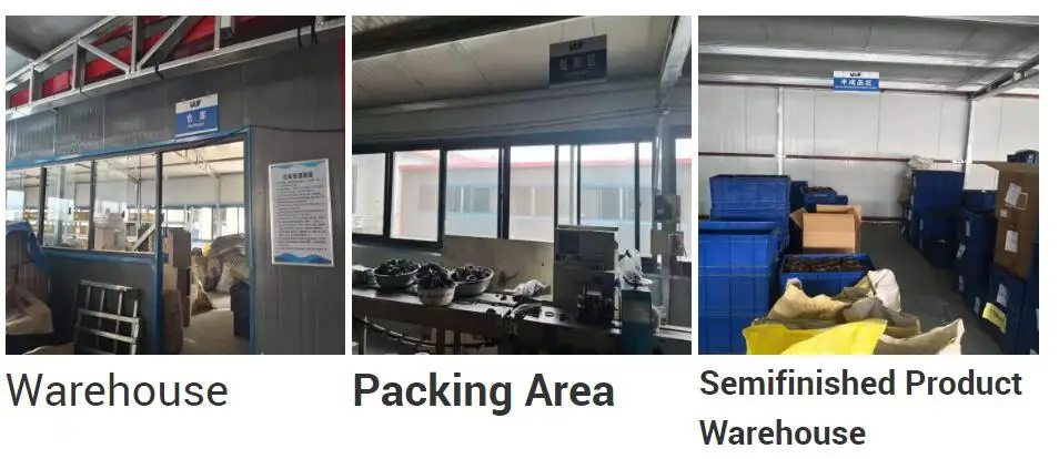 Shock Absorber Oil Seals Oilseal Ackee BH2634F 38x55x8 for Gearbox ...