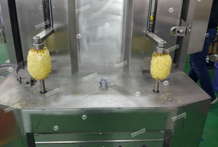 Frozen Jackfruit Processing and Cutter Machine by Fengxiang