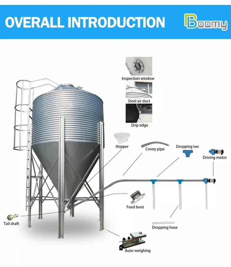 Small Grain Bin Silos To Soring 30-100 T Rice - Buy Small Grain Bin ...