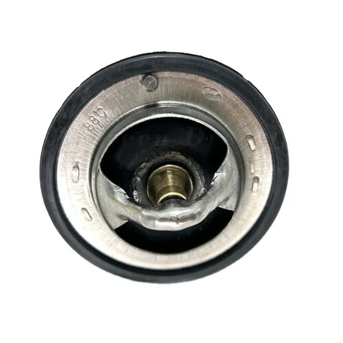Engine Coolant Thermostat 25500-3C150 for Hyundai & Kia