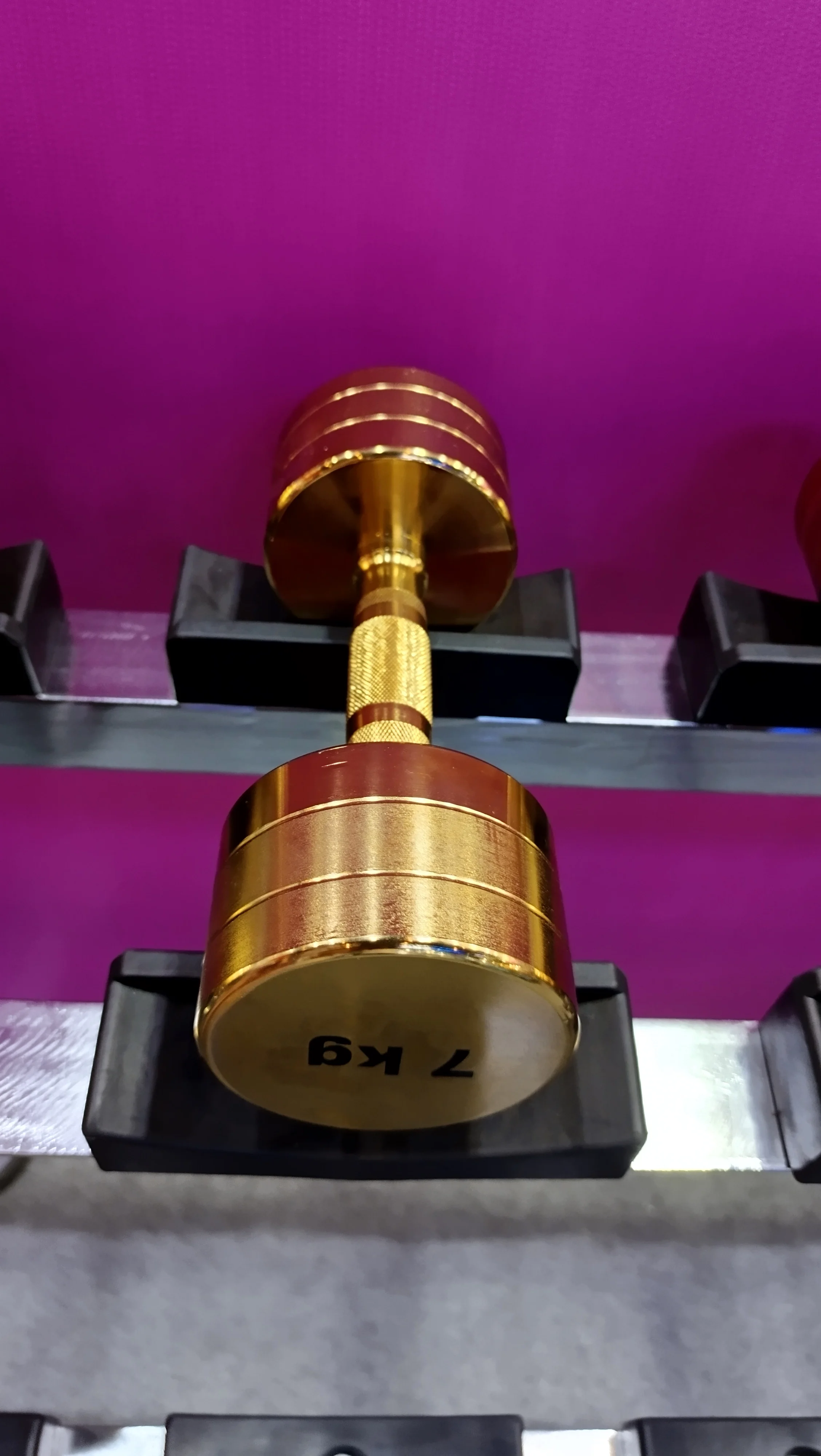 Gym Equipment - Free Weights Golden Color Dumbbell Set