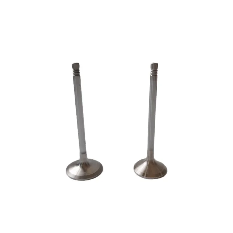Water-cooled Diesel Engine Parts Bfm1015 Intake Valve 04226413 04220143 ...
