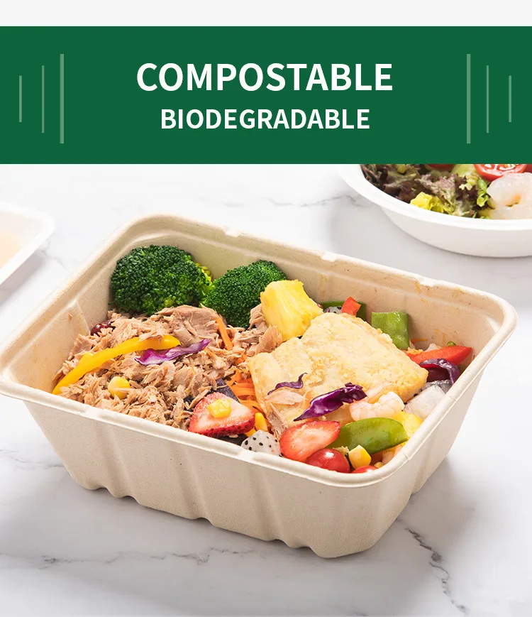 500ml Microwavable Biodegradable Disposable Eco Friendly Take Away ...
