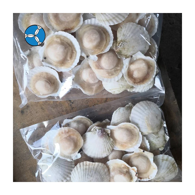 Wholesale Price Frozen Sea Scallop Meat With Roe For Sale - Buy Frozen ...