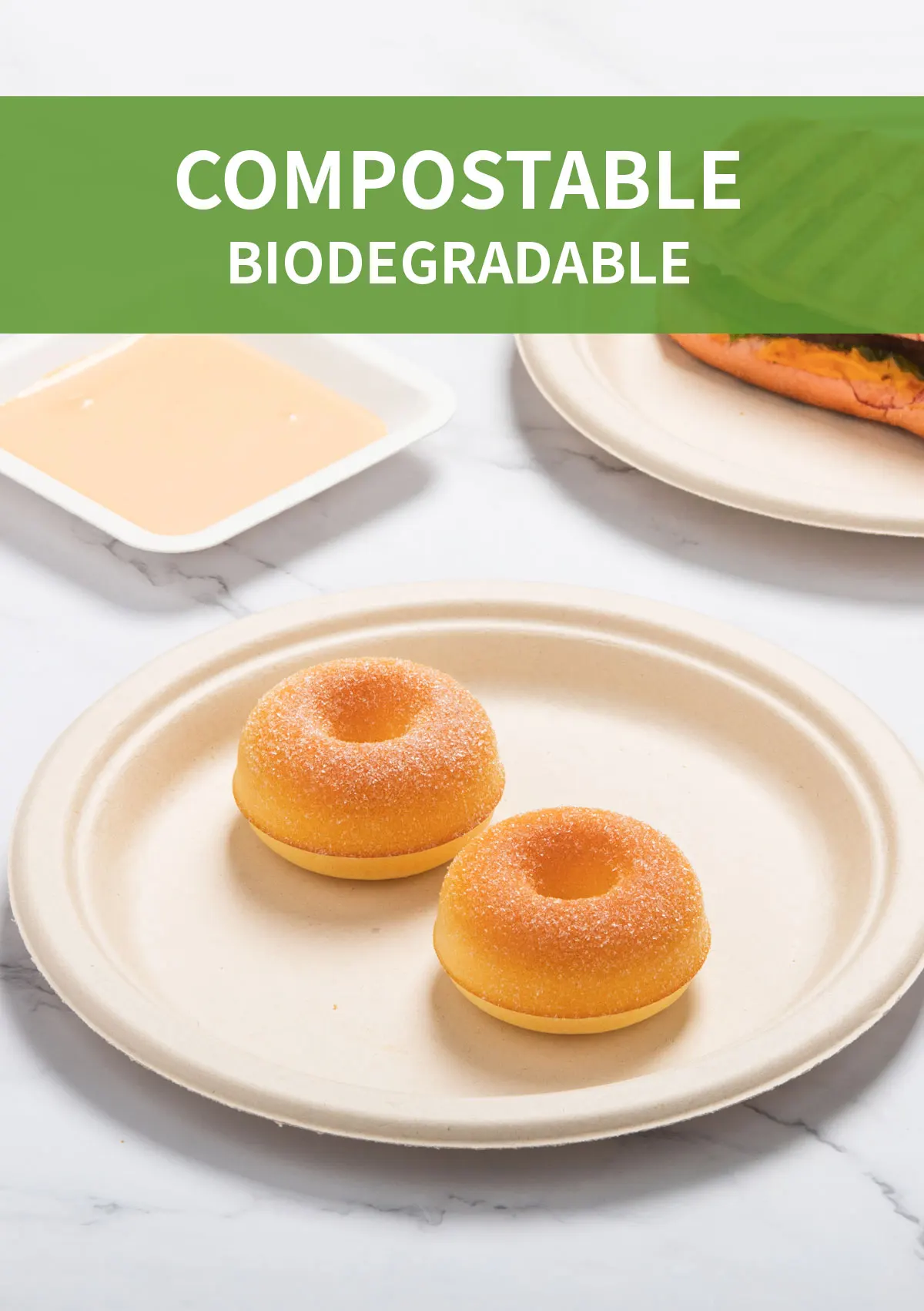 Oasis Custom 9 Inch Biodegradable Round Natural Plate Zero Waste ...