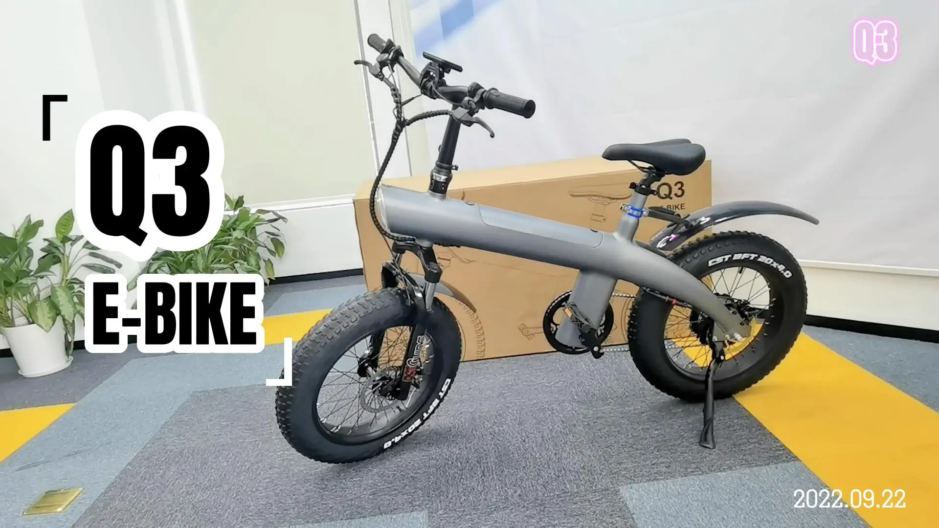 Q3 Electric Bike 20 Inch Fat Tire Off Road Ebike 750w 48v Powerful ...