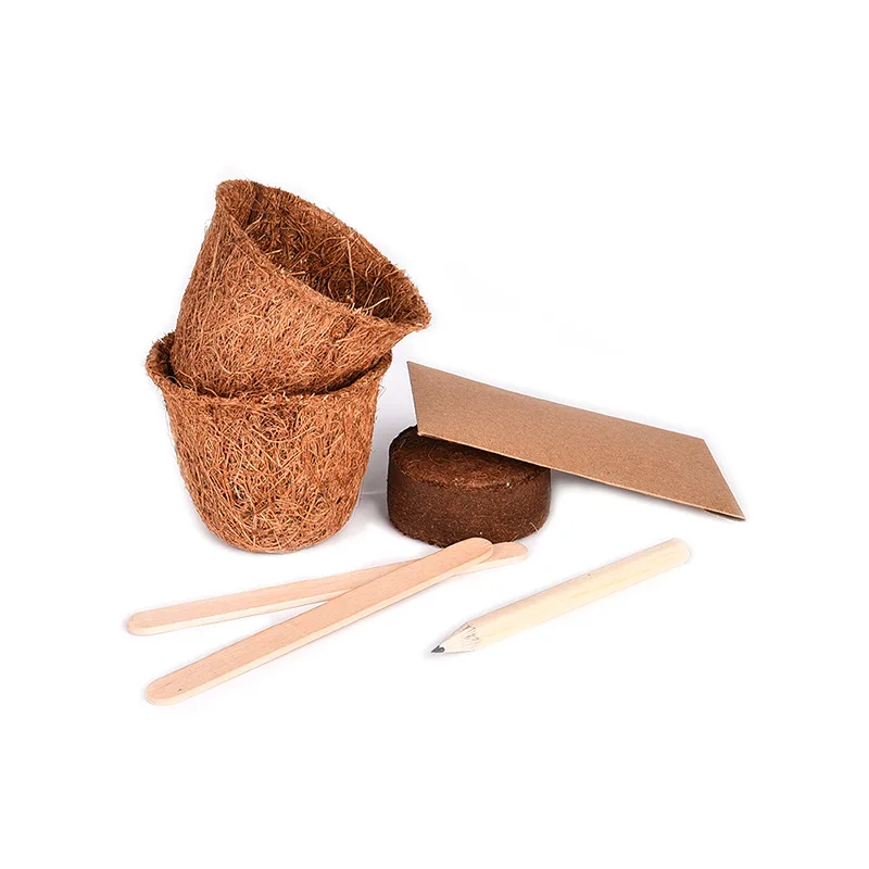 Blind Box Planting Set Biodegradable Growing Christmas Tree Combination ...