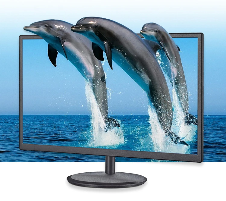 19.5 Inch LCD Monitor - Full HD, IPS Panel, 5ms Response