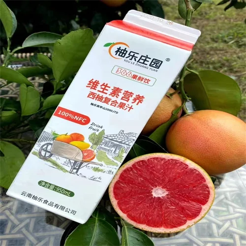 Juice with pulp gable top carton filling machine, hot filling juice ...