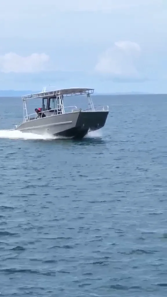 9m / 30ft Aluminum Landing Craft Boat Work Barge Carry 3.5tons Capacity ...