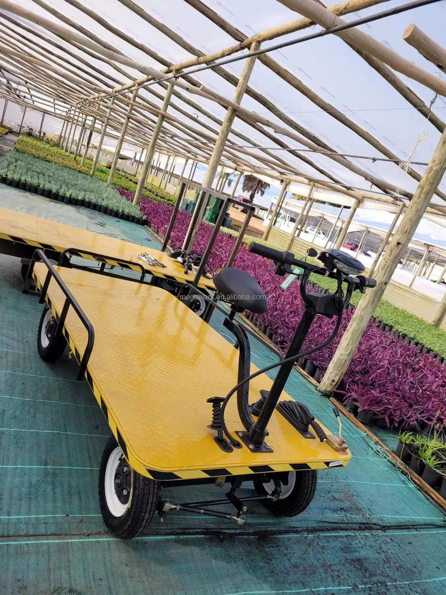 Electric Platform Hand Trolley 800kg Loading Capacity Electric ...