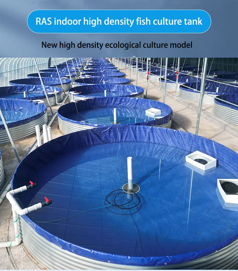RAS Indoor Fish Shrimp Fish Farming Tank - Aquaculture Equipment