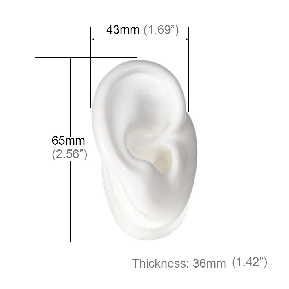 Jewelry Display Stand with Flexible Silicone Ear Model for Hearing Aids ...