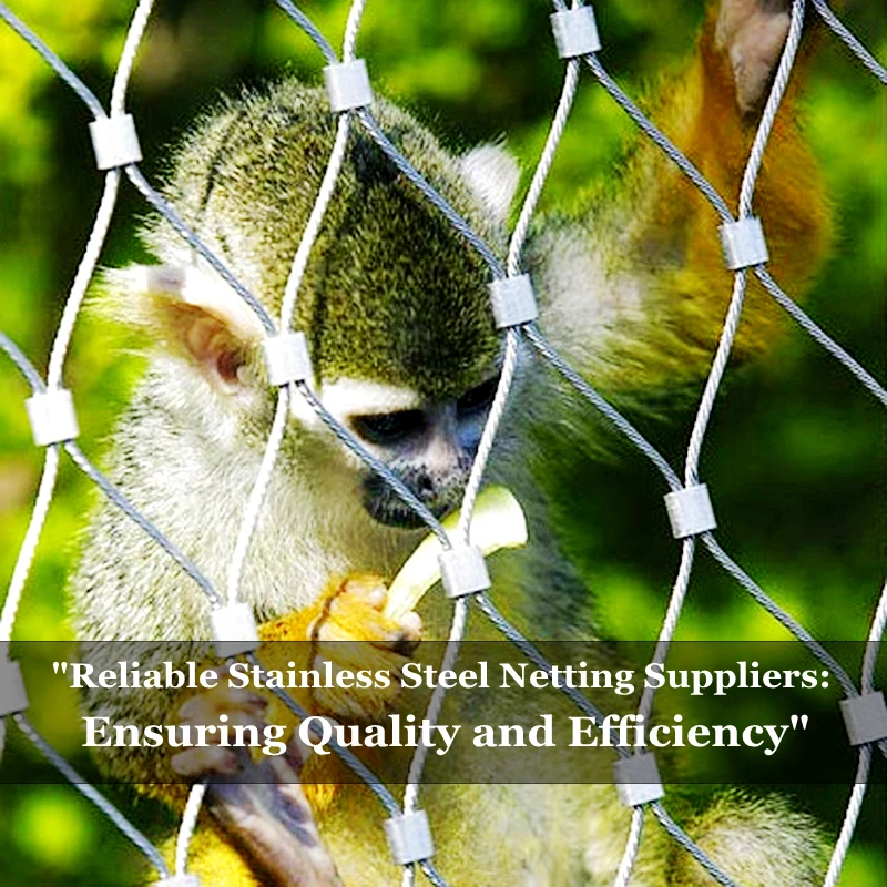 Flexible Cable Mesh Trap Birds Nets A Cage Wire Rope Pet Cages Animal ...