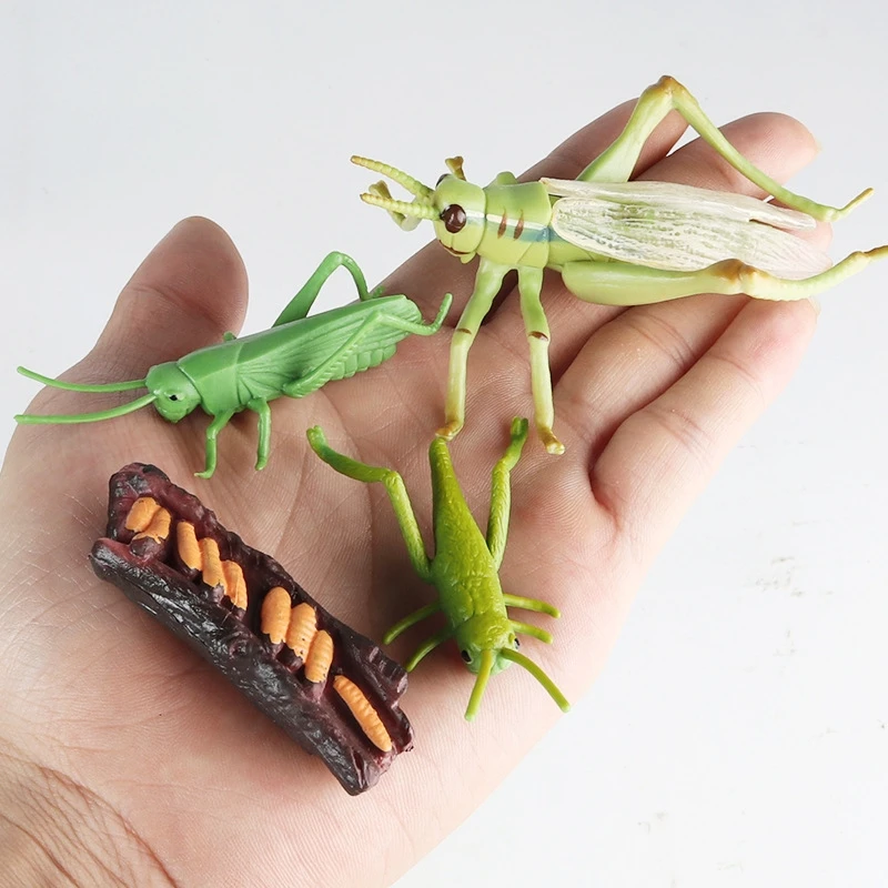 Toy Insect Plastic Small Pvc Insect Toy Plastic Insect Kids Toys - Buy ...