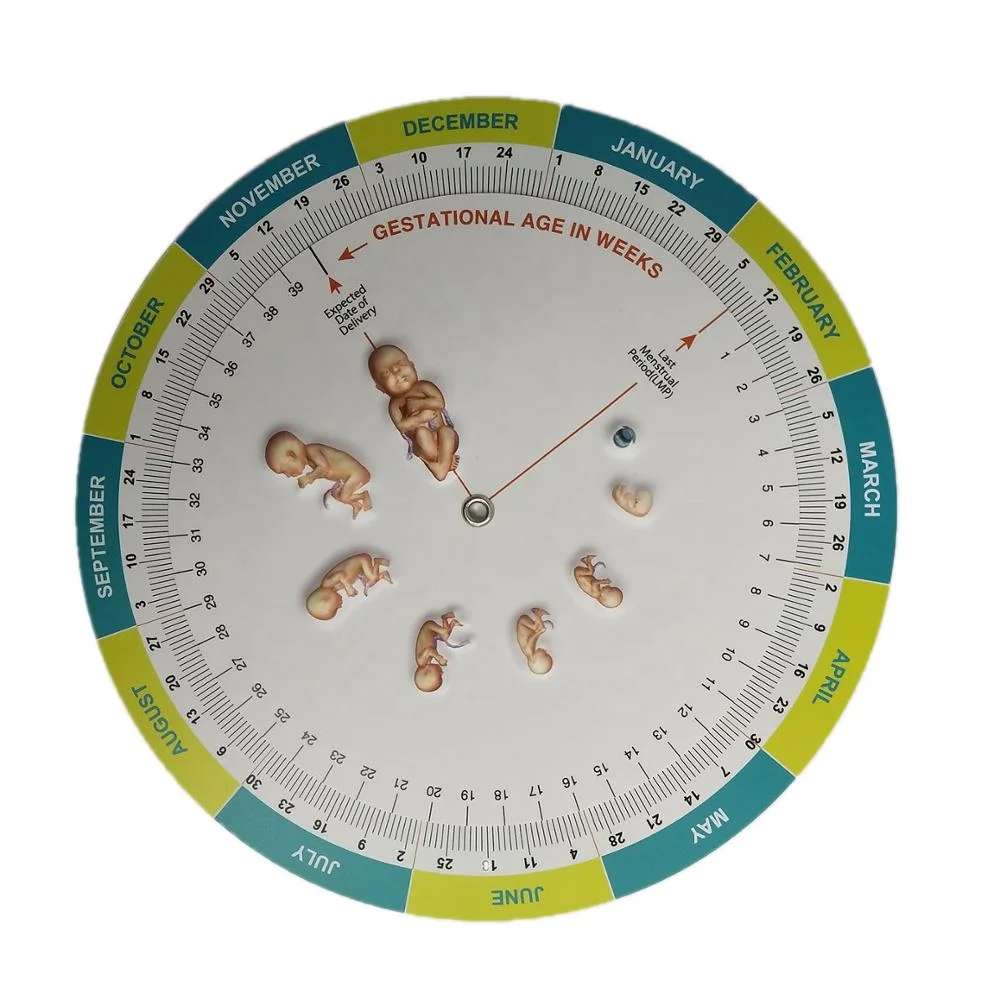 Hot Sale Hospital Wheel Chart Cheap Custom Calculator Pregnancy ...