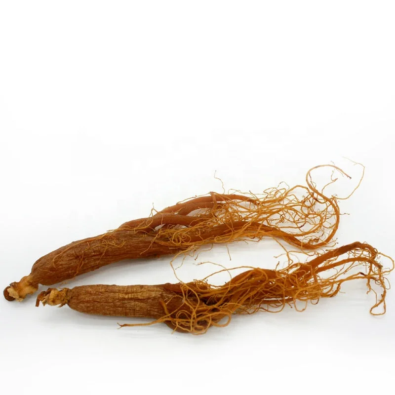 Hong Shen/ Gao Li Shen Radix Ginseng Rubra Dried Korean Red Ginseng ...