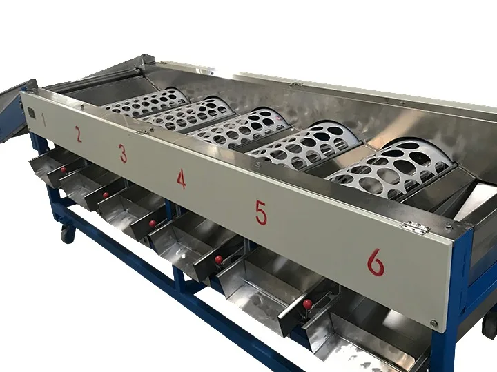 Roller Dragon Fruit Grading Tomato Sorter Orange Fruit Sorting Line ...