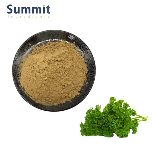 Quality Wholesale Parsley Leaf Extract Powder Parsley Extract Parsley ...