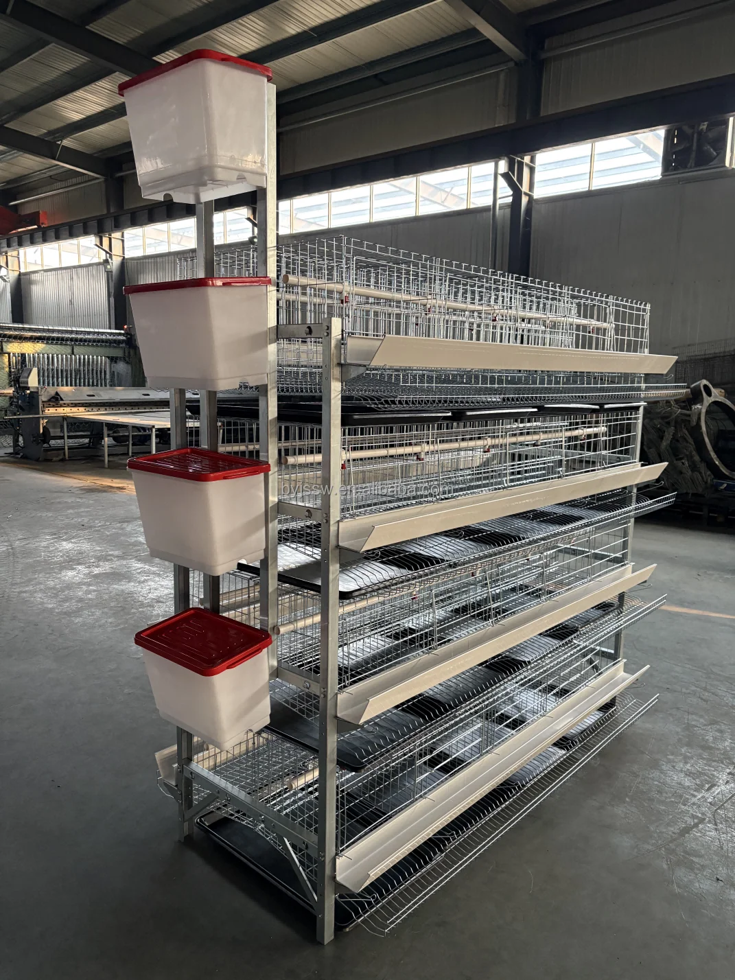 Battery Cages for Poultry Chicken Layer H Type - BAIYI