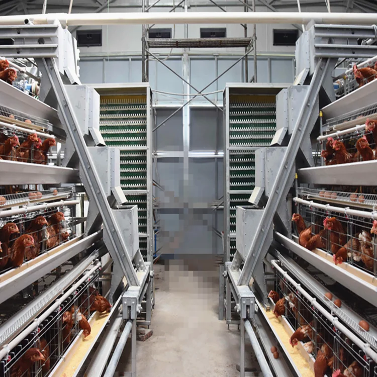 A-type Layer Chicken Cage - Durable & Efficient Poultry Equipment