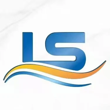 Company Overview - Ganzhou Longsu Technology Co., Ltd.