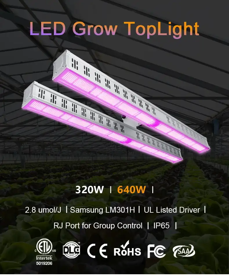 Industrial Full Spectrum Plant Module Grow Led Light Strip Lm301b ...