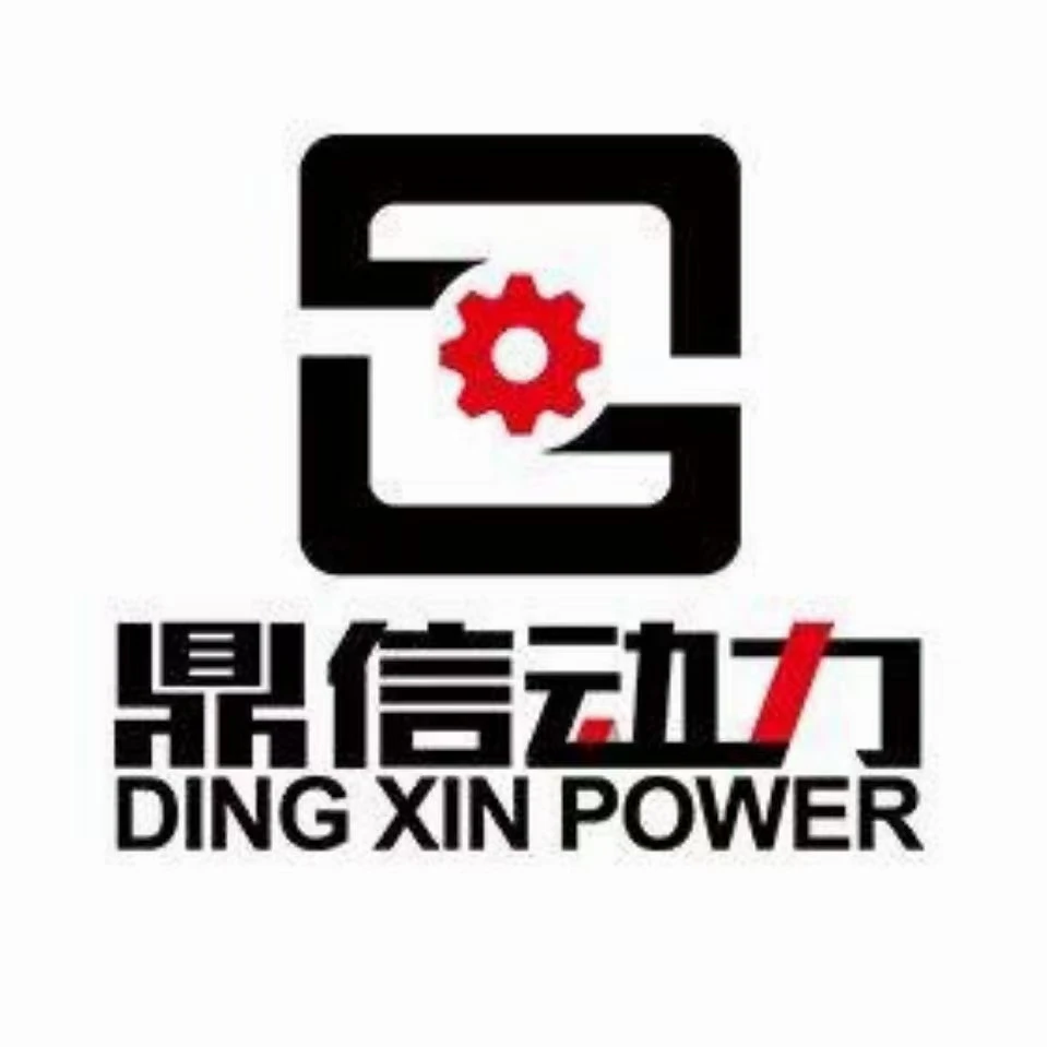 Company Overview - Shandong Dingxin Power Equipment Co., Ltd.