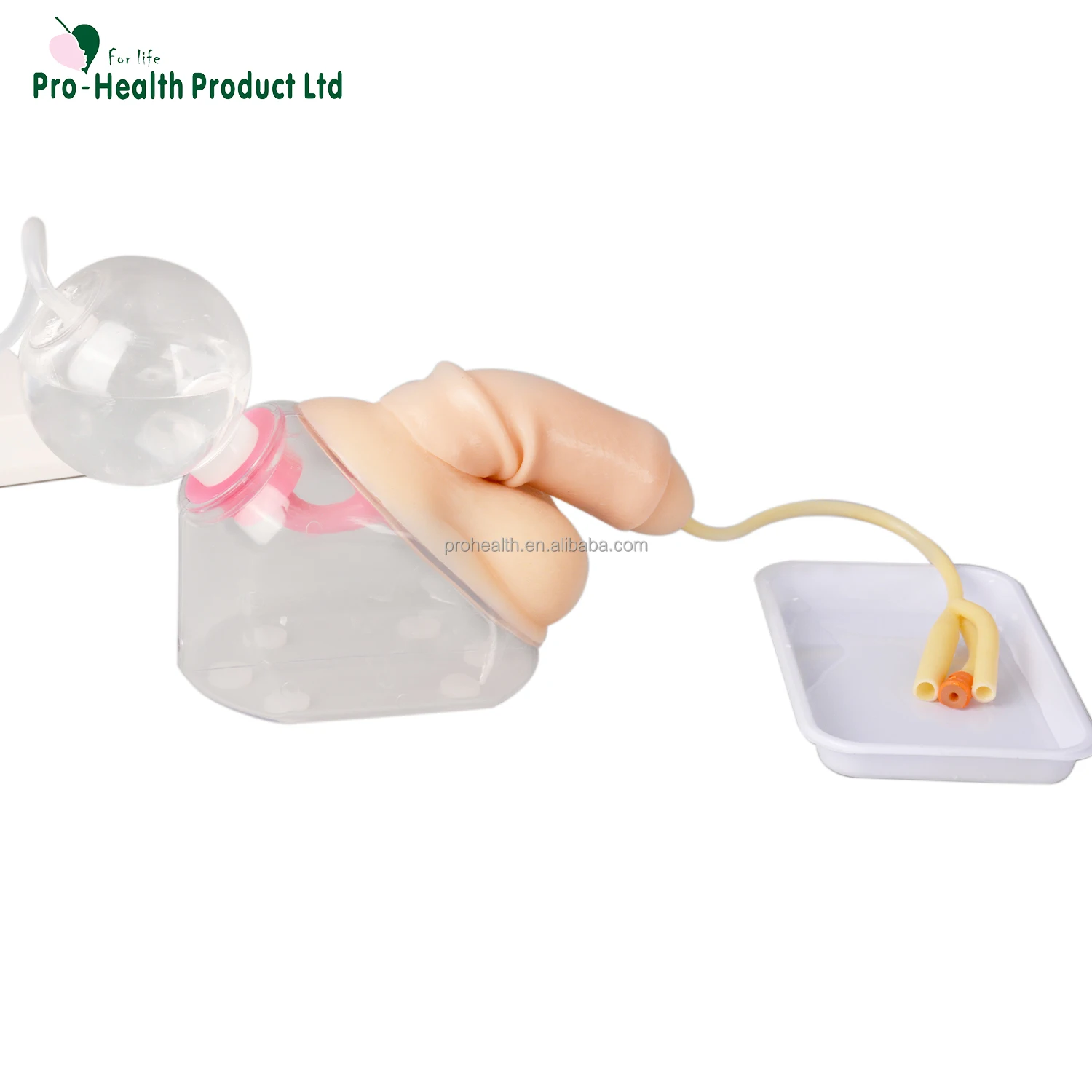 Male Catheterization Simulator - Anatomical Model for Training