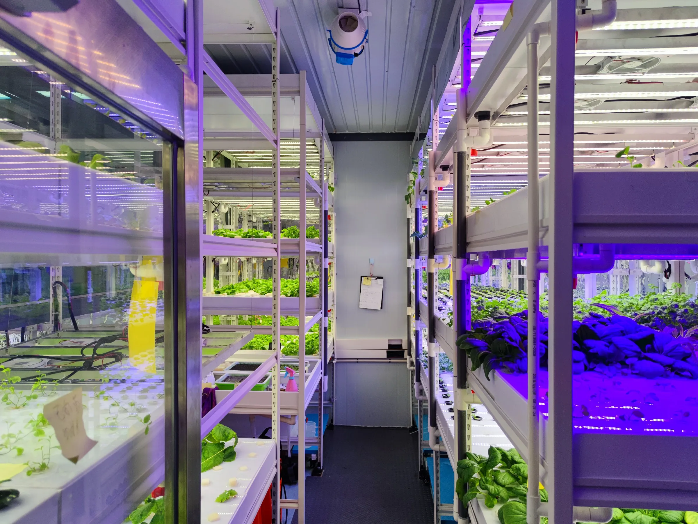 Vertical Farming Container - Hydroponic Strawberry Farm