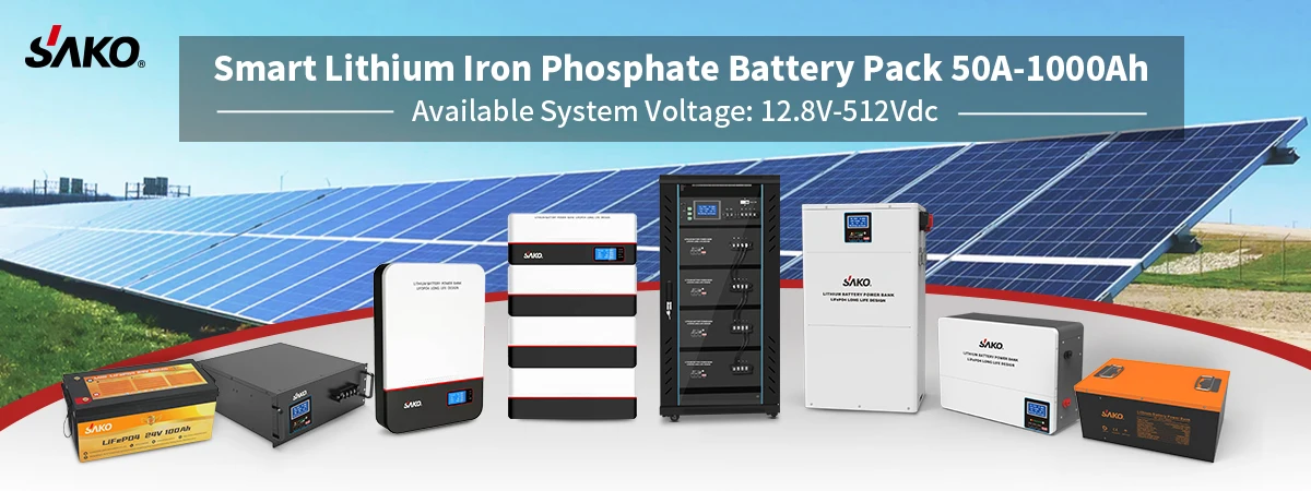 Sako Deep Cycle Lithium Ion Batteries For Solar Panels Power Wall 200 ...