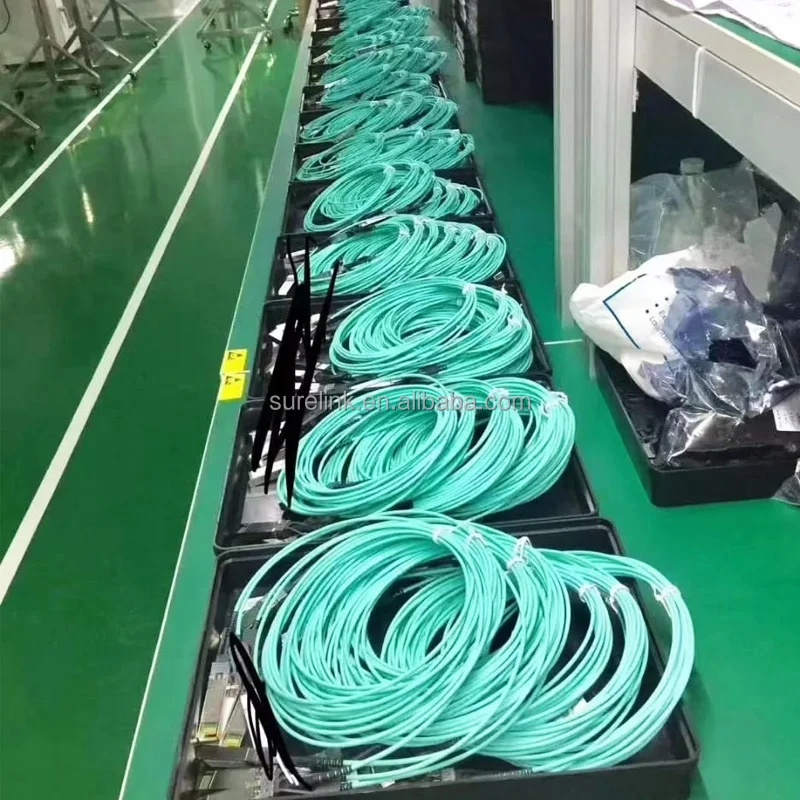 Surelink Cat6 Shielded/unshielded Rj45 Cable 1m/2m/10m/15m, Oem
